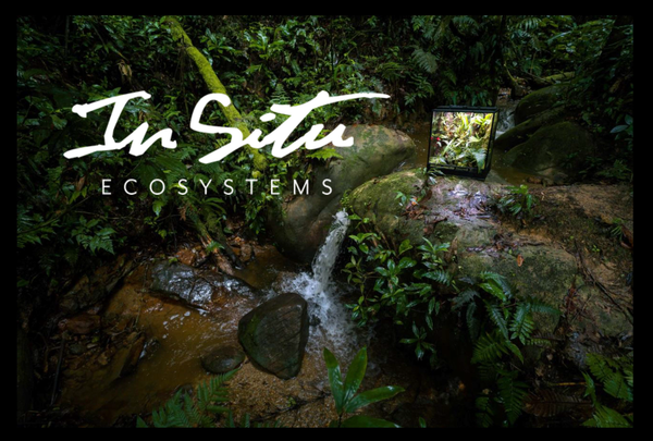 In Situ Ecosystems Gift Card – InSitu Ecosystems