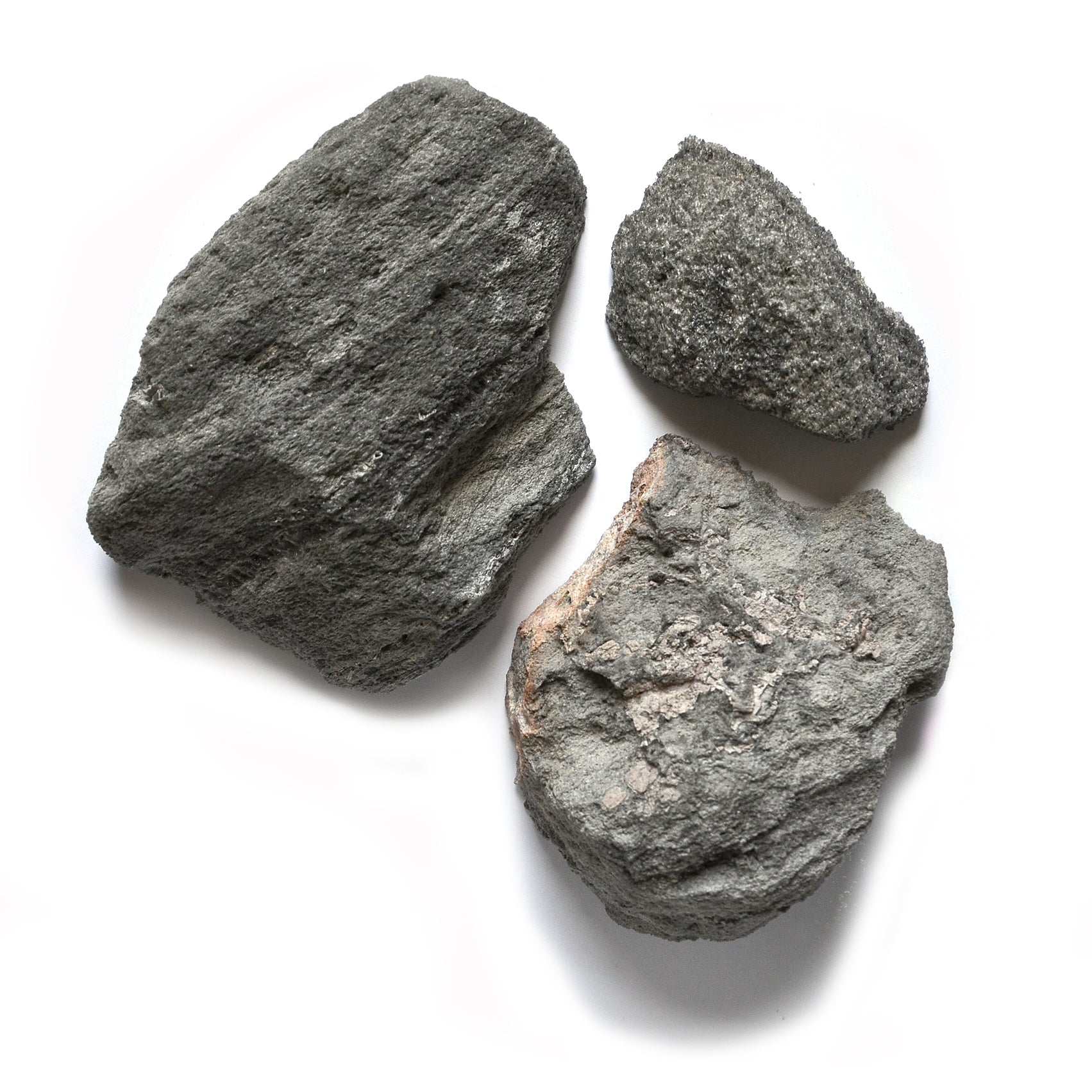 Accent Rock – InSitu Ecosystems